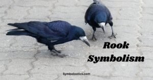 Rook Symbolism Meaning: Chess, Bird & Spiritual Signs